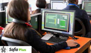 Sena Sofia plus prueba